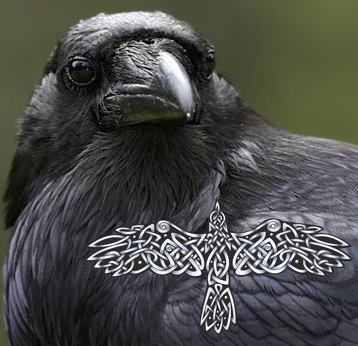 A Raucous Of Ravens | StoneFire